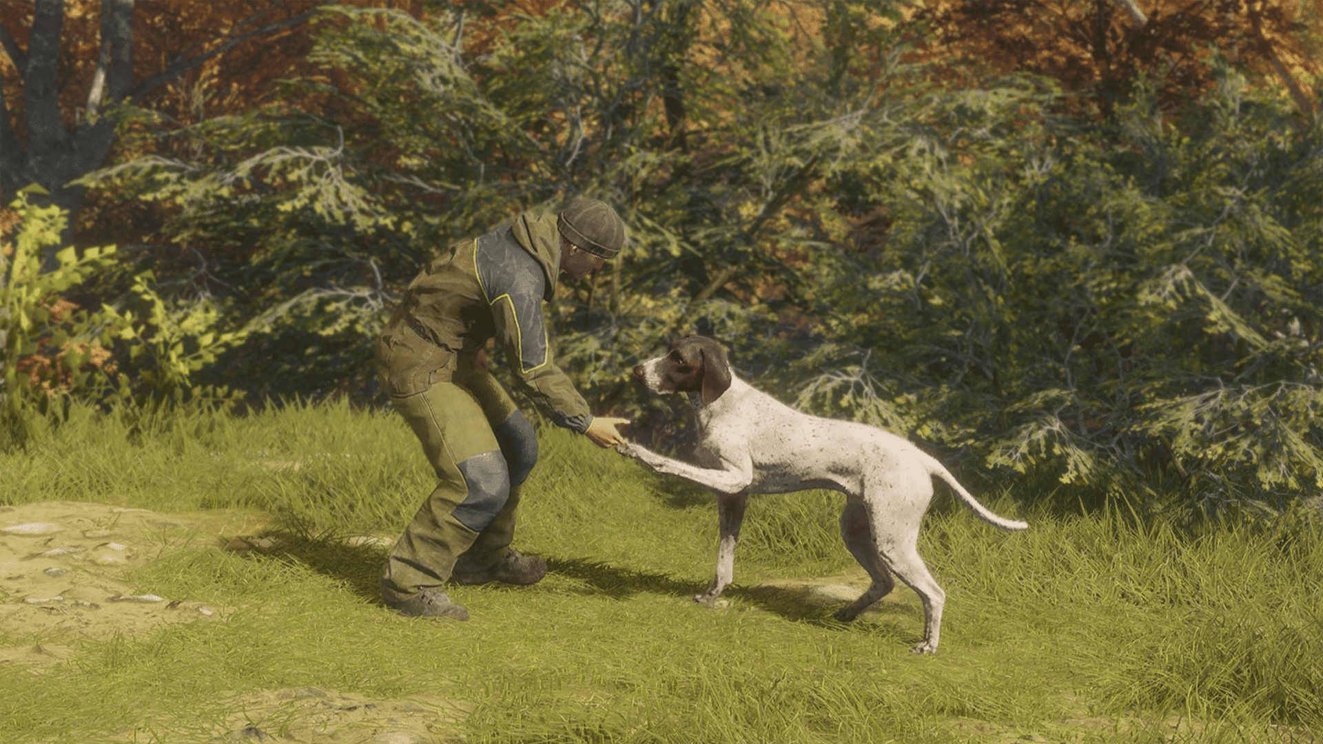 'theHunter: Call of the Wild' Announces Three New DLC Packs, Free ...